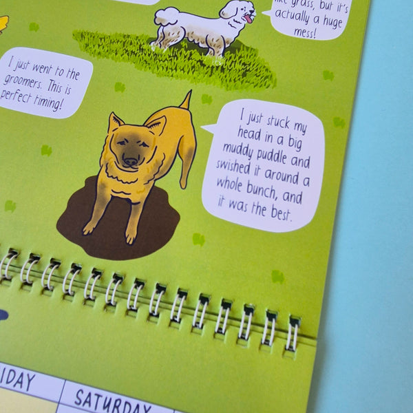 2026 DOG PARK CALENDAR – A Quirk of Fate
