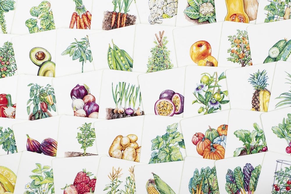 GARDENER'S MATCH MEMORY GAME - ABIGAIL WILLIS – A Quirk of Fate